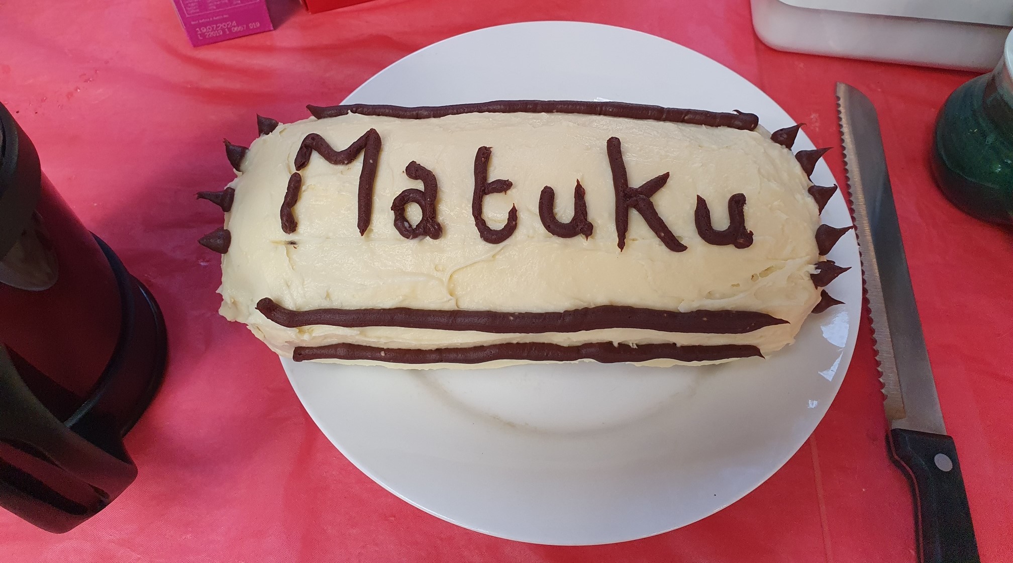 Matuku Link | Closing the gap - Linking untouched kauri forest, a river ...