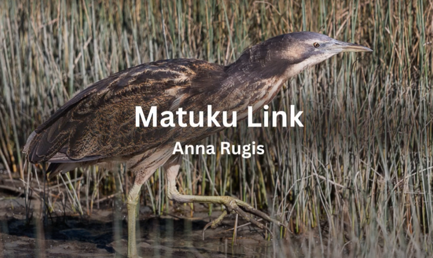 Matuku Link song! | Matuku Link