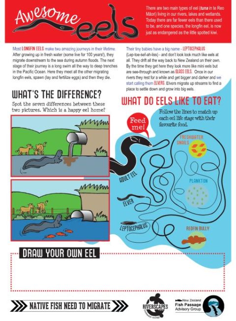 Resources | Matuku Link